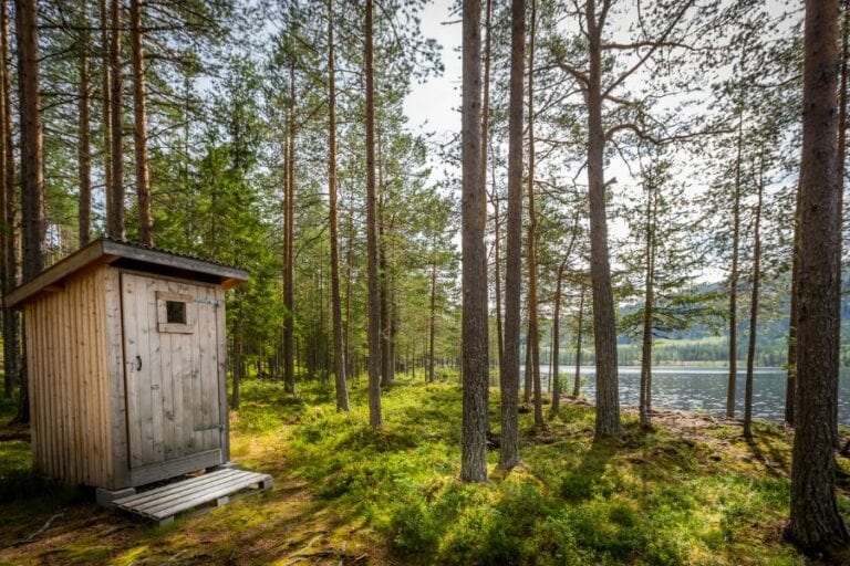 Mastering Potty Training in the Great Outdoors When Camping With ...