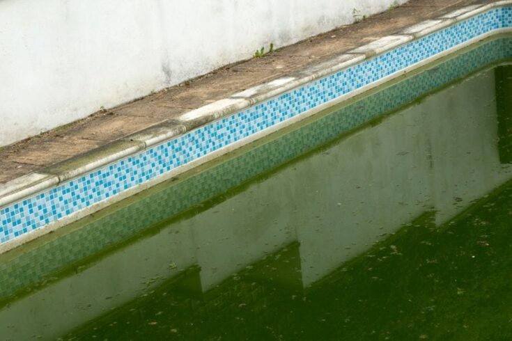 4 Causes of Algae in Your Swimming Pool (And What to Do About It) - My ...