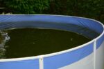 How to Clean a Green Above-Ground Pool (Plus How to Prevent It) - My ...