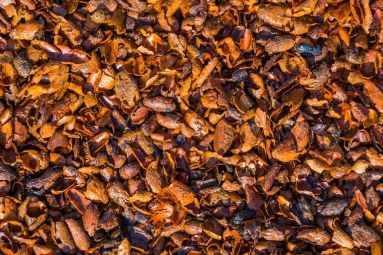 How To Stop Your Dog From Eating Mulch - My Backyard Life
