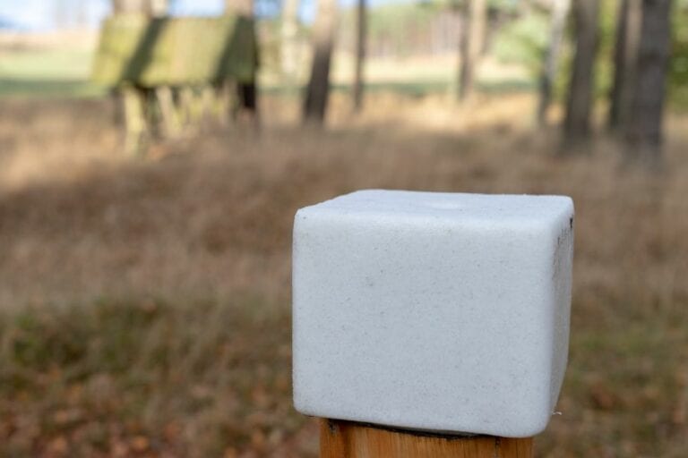 Why Do Deer Like Salt Blocks? (And Which Type Is Best?) - My Backyard Life