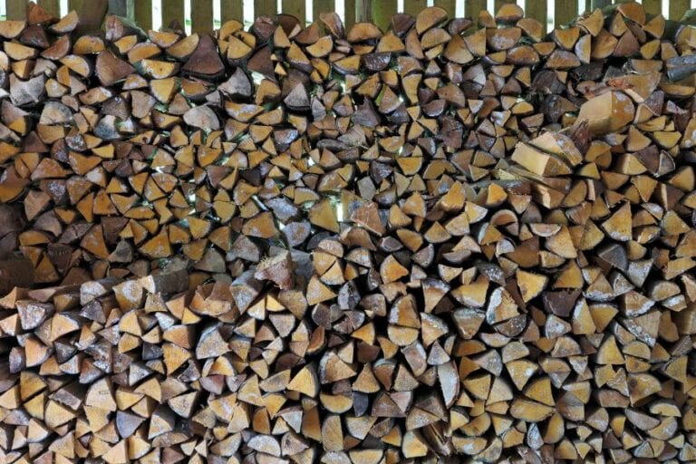 Everything You Need to Know About Mold on Firewood - My Backyard Life