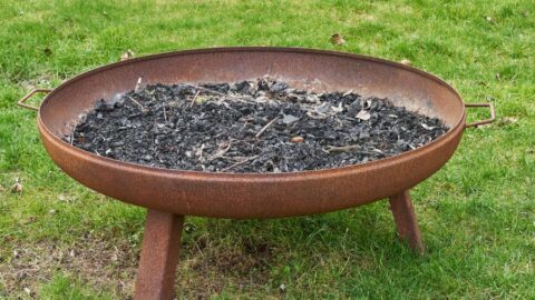 8 Great Uses for the Ashes From Your Fire Pit - My Backyard Life