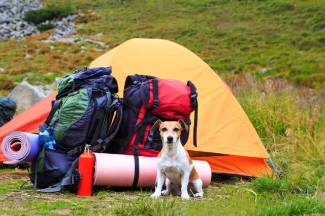 20 Common Problems Faced During Camping (And How to Prepare for Them ...