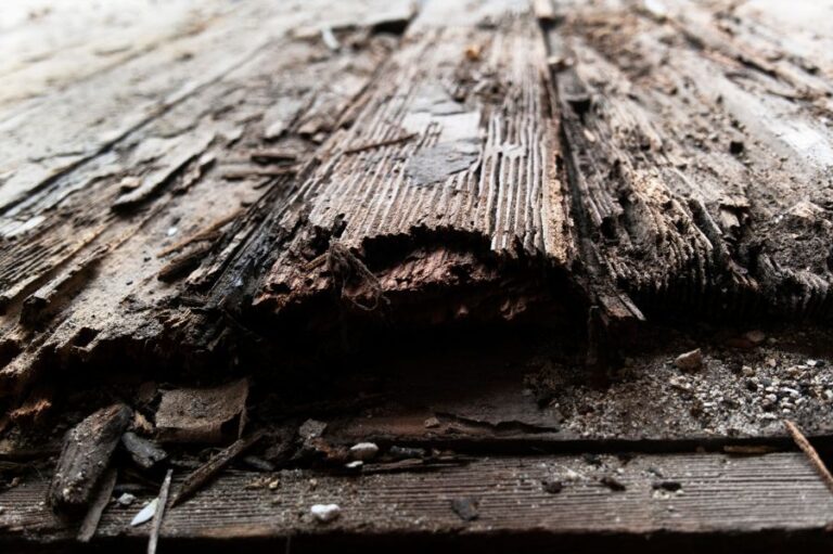 How to Stop a Shed Floor from Rotting (Plus Repair Tips) - My Backyard Life