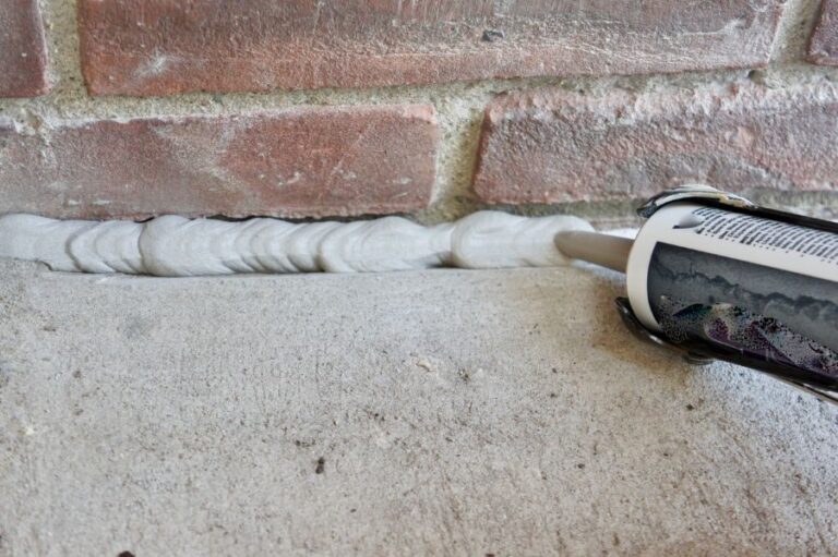 8 Ways to Get Rid of Snakes Under a Concrete Slab - My Backyard Life