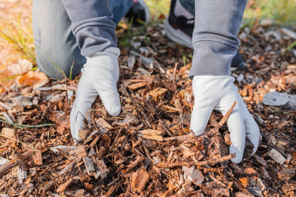 4 Big Benefits of Using Shredded Paper As Mulch - My Backyard Life
